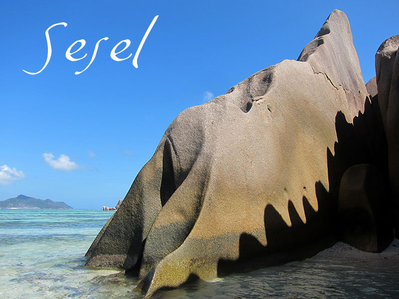 SESEL | FSBconcept / Realisations graphiques / Graphisme - Graphiste Dijon